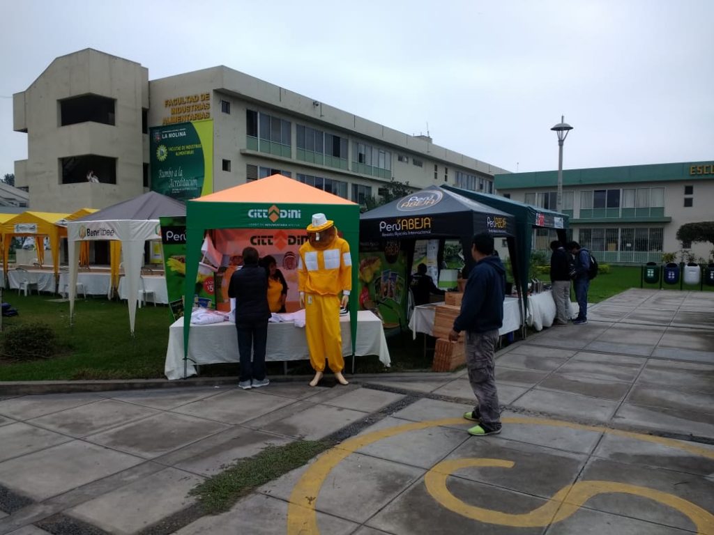 1er Tour Internacional Apícola en Lima, Perú – Cittadini – Artículos e ...